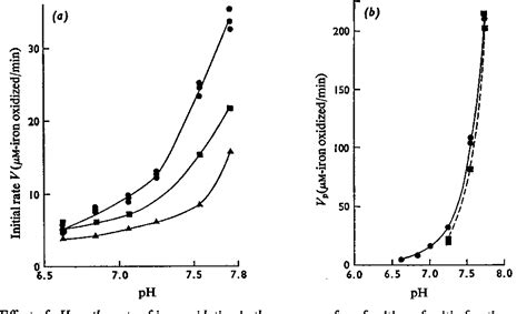 Figure 4 From The Formation Of Ferritin From Apoferritin Catalytic Action Of Apoferritin