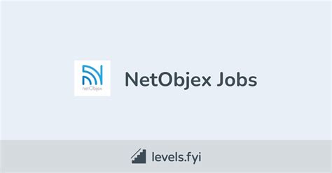 netobjex jobs levels fyi