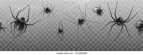 Collection Spider Cobweb Isolated On Black Stock Vector Royalty Free 1772252648