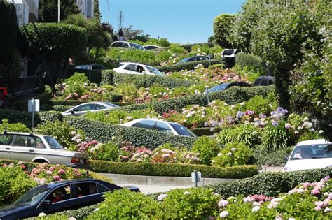 Aprenda todo sobre Lombard Street la calle más hermosa de San Francisco Guiada