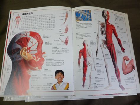 【彩虹小館】l3童書~啟思科學透視圖鑑 全套透視動物透視地球透視植物透視昆蟲透視微生物共8本啟思文化 Yahoo奇摩拍賣