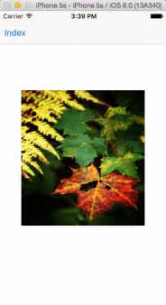Ios Change Uiimageview Background Colors In Swift Stack Overflow
