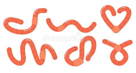 Compost Insects Stock Illustrations 97 Compost Insects Stock