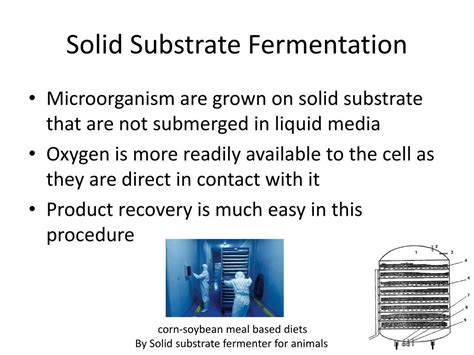 Ppt Microbial Biotechnology Commercial Production Of Microorganism