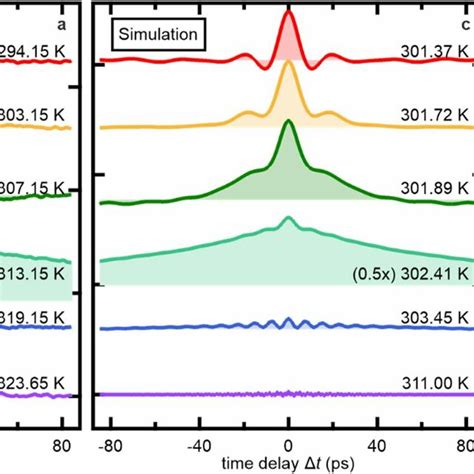 Ultrafast Magnon Noise Dynamics Near Spin Reorientation In Download Scientific Diagram