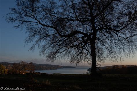 Lygnern Thomas Fotoblogg