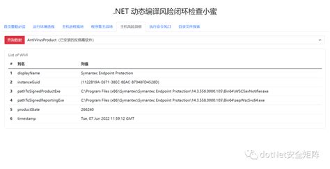 Net Webshell