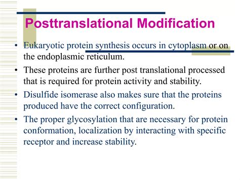 Expression System Final Pptx