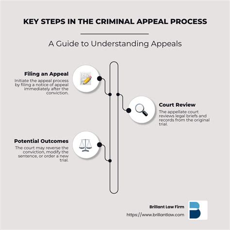 Criminal Appeals Demystified Your Guide To The Process Brillant Law Firm