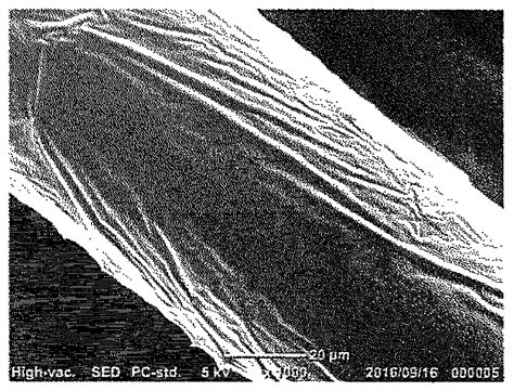 Bicontinuous Microemulsion Composition And Cosmetic Eureka Patsnap