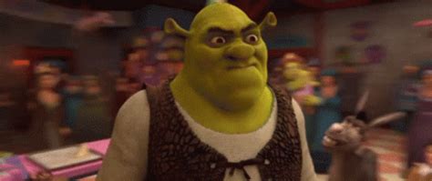Mad Shrek S