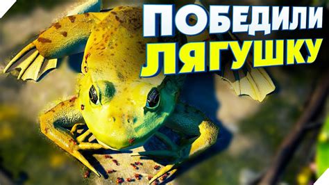 МУРАВЬИ СЪЕЛИ ЛЯГУШКУ КОЛОНИЯ ОГНЕННЫХ МУРАВЬЕВ ВОИНОВ Empires of the Undergrowth YouTube