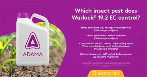 Warlock® 19 2 Ec Insecticide Product Overview And Infographic Adama South Africa