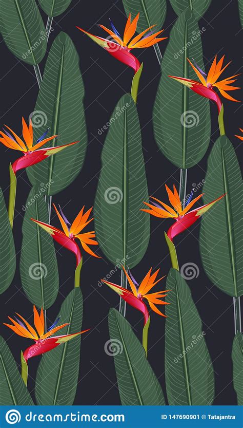 Seamless Pattern Tropical Leaves With Bird Of Paradise Stock Vector
