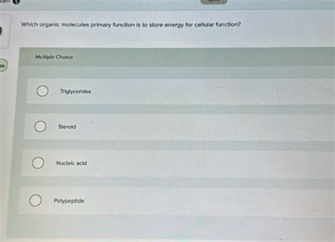 Which Organic Molecules Primary Function Is Studyx