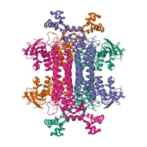 Rcsb Pdb 6nzb Crystal Structure Of E Coli Fumarase C S318a Variant