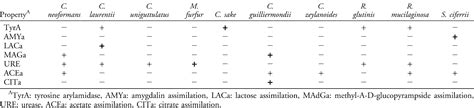 Classification Of Cryptococcus Neoformans And Yeast Like Fungus