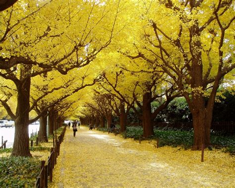 Blog Archive