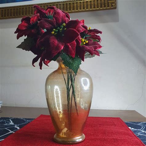 Plantas Decorativas Para El Hogar Y Casa Moderna En Hermosas Macetas