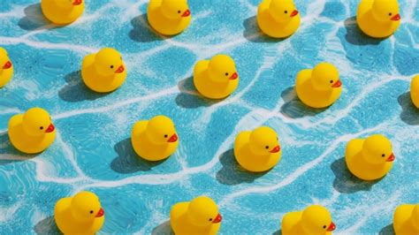 ¿qué Significa El Pollito Amarillo En La Cabeza Contexto Y Los Mejores