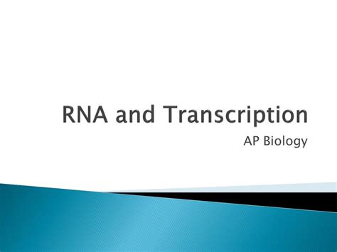 PPT RNA And Transcription PowerPoint Presentation Free Download ID 1924635