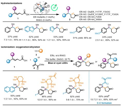 南京大学黄小强团队JACS Angew光酶催化不对称生物合成领域的最新进展 X MOL资讯