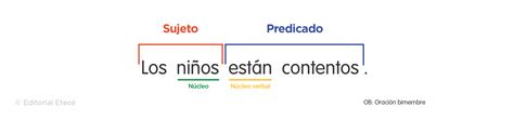 Oraciones copulativas qué son tipos y ejemplos