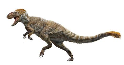 Yutyrannus The Beautiful Feathered Tyrant