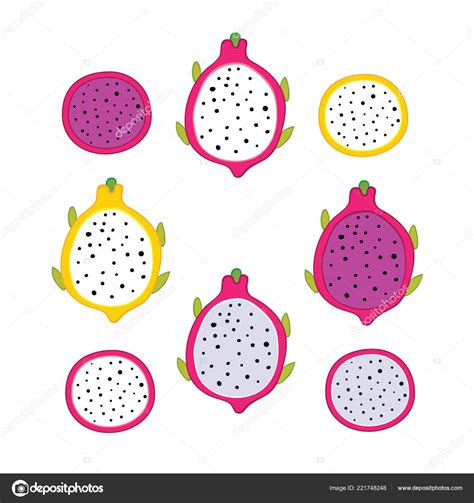 이국적인 드래곤 Pitaya Pitahaya 손으로 스케치 디자인 라이프 스타일 일러스트 스톡 벡터 ©anttoniu 221748248