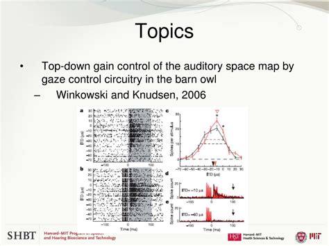 Ppt Sound Localization In The Owl Representation And Control