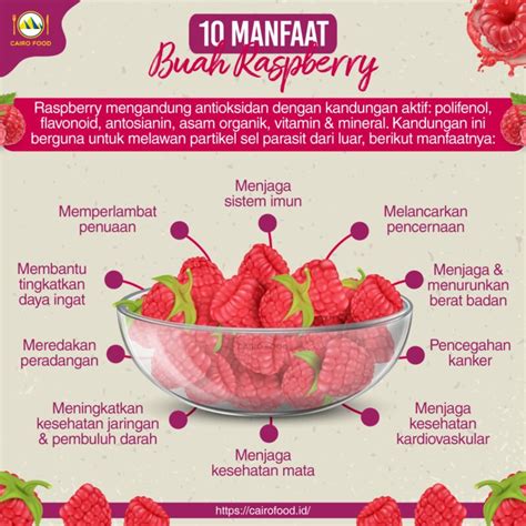 10 Manfaat Buah Raspberry Untuk Kesehatan
