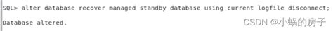 oracle 19c 单实例adg搭建（图文详解） 19c adg csdn博客