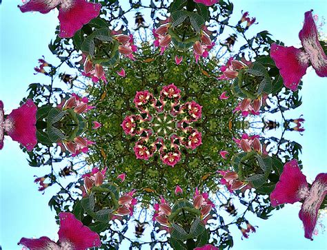 Kaleidoscope Colors Geometry Free Photo On Pixabay Pixabay