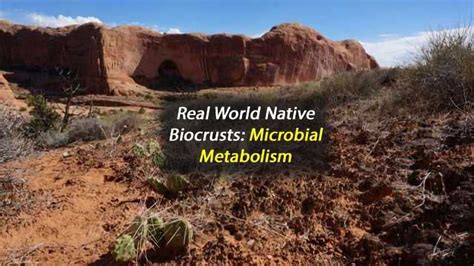 Functionally Linking Microbial Community Structure With Environmental Chemistry Technology