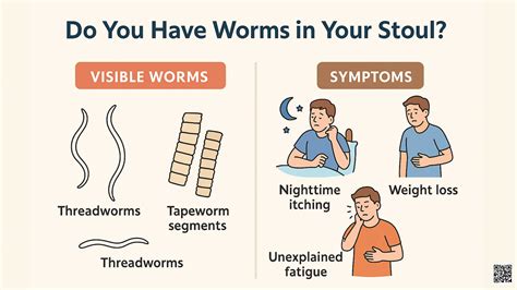 Parasites And Worms In Stool How To Spot And Treat Infections
