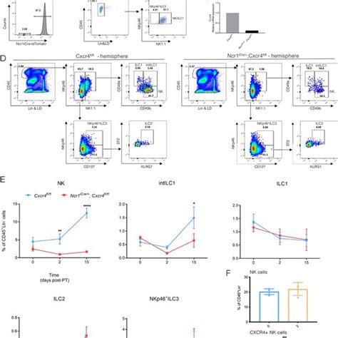 Recruitment Of Ilcs Via Bloodbrain Barrier Expressed Cxcl12 A Cxcl12