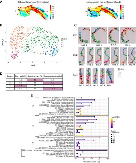 Association For Single Cell Analysis Asca On Linkedin Spatialomics