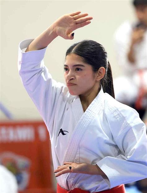 Karate Desarrolló Un Tope De Control Con Miras Al Ccondeka Diario1