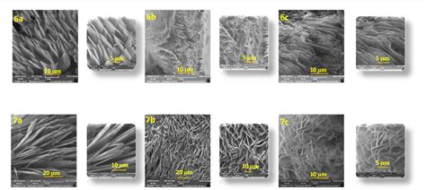 Figure 4 From Efficient Ternary Worm Memory Devices From Quinoline Based Da Systems By Varying