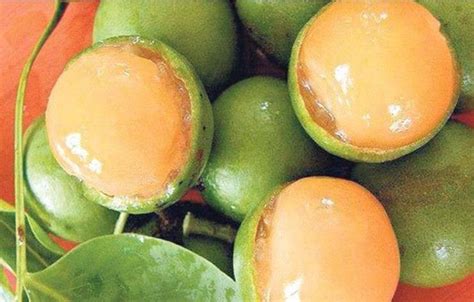 Mamon Fruta