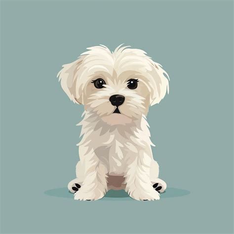 かわいいマルチーズ・小さな瞳で見つめて｜イラスト・フリー素材なら「シンテリ」