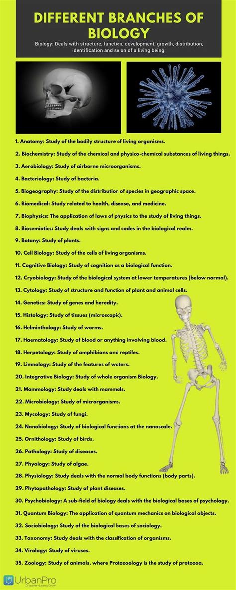 Different Branches Of Biology