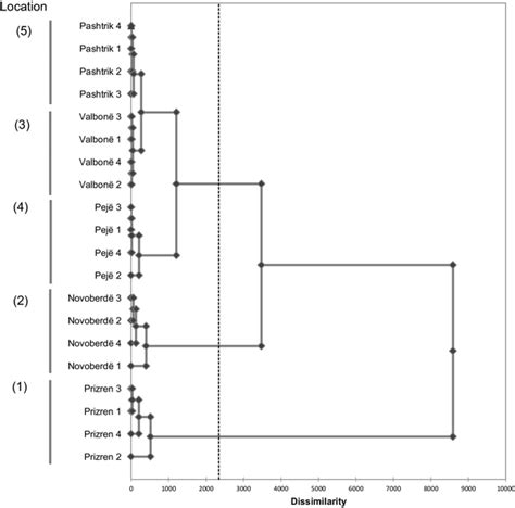 Two Dimensional Dendrogram Obtained By The Cluster Analysis Of The