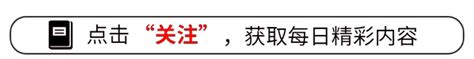 特斯拉高速别车后续：车主被刑拘后连累家人，当事人删视频拒私了