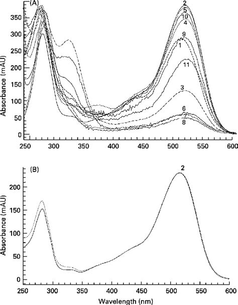 Anthocyanin Absorption Spectrum