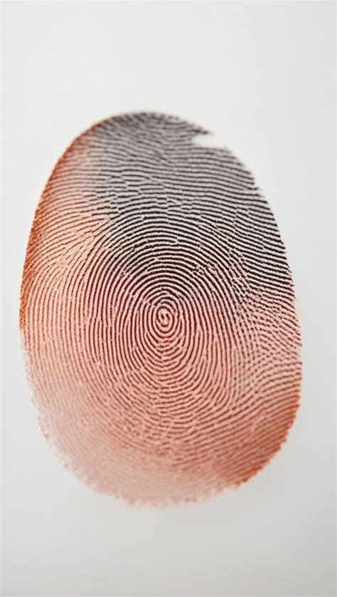 Partial Fingerprint On White Background Minimal Abstract Rime Or