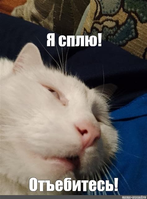 Meme Я сплю Отъебитесь All Templates Meme