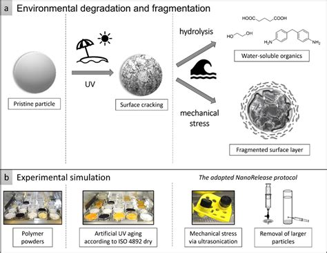 Environmental Degradation Of Microplastics How To Measure 59 Off