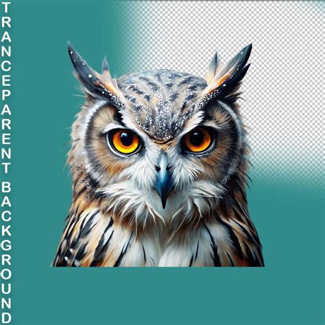 Realistic Owl Art Psd 1000 High Quality Free Psd Templates For Download