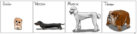How To Understand Data With Dogs By Karl Stratos Rmathmemes
